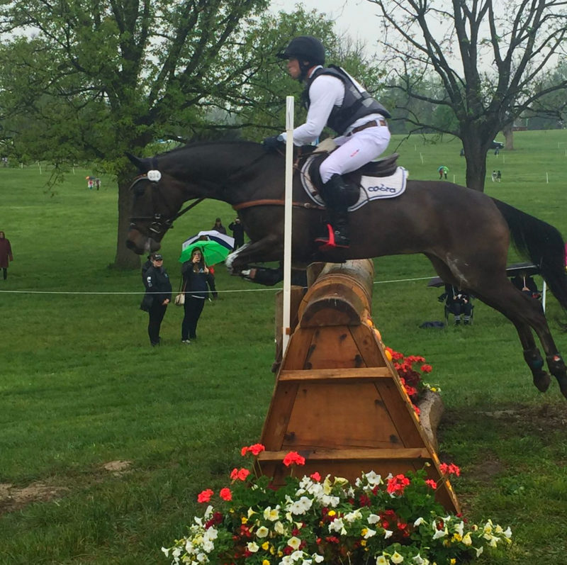 Anatomy of a Cross-Country Jump, Compliments of Michael Jung