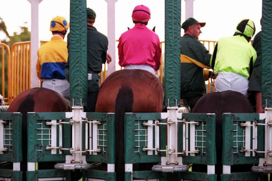 Holy Roller: The Biggest Racehorse Ever