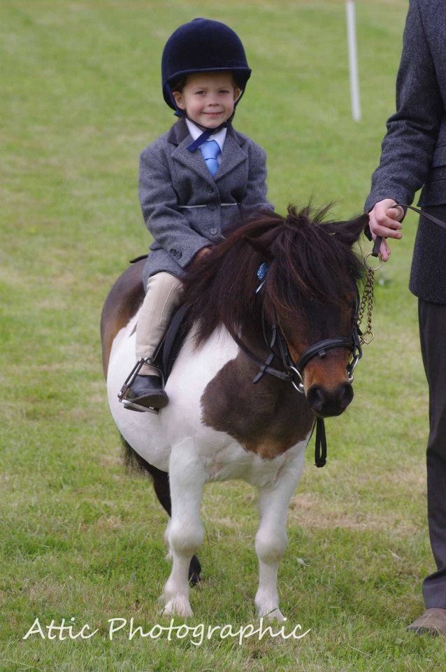 The Day Juanito the Pony Made Leadline Mothers Everywhere Clutch Their ...