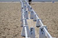 Ride a Training Level Test, From the Horse’s Perspective