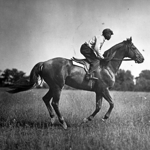 Man o'War Turned 100 and the Kentucky Horse Park is Having a Party