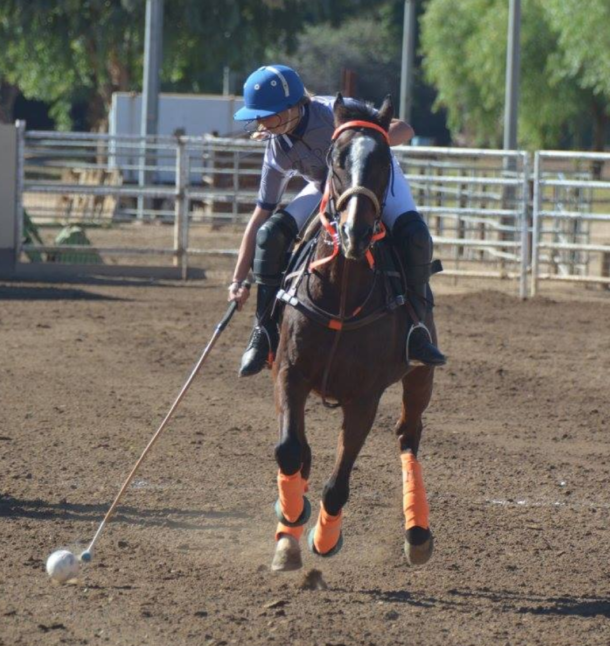 Equestrian Crash Course: What You Need to Know About Polo