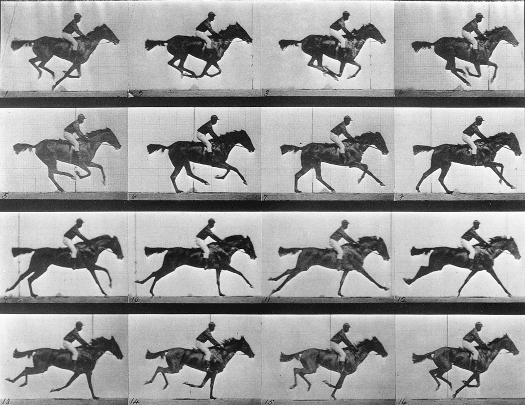 How Two Men, a Racehorse and a Wager Revolutionized the Film Industry