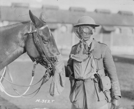 9 Arresting Images of Horses in the First World War