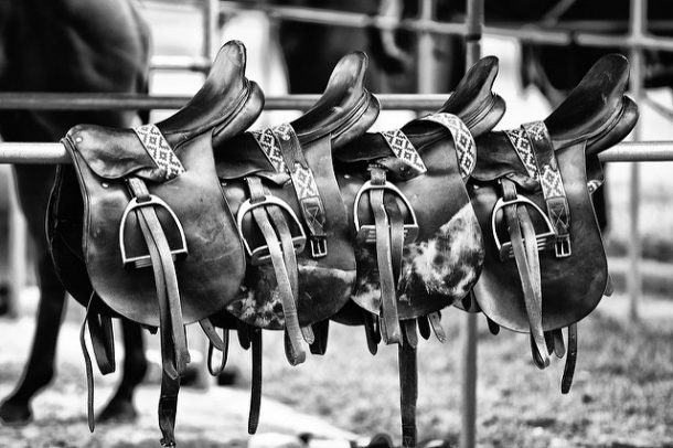 Equestrian Crash Course: What You Need to Know About Polo