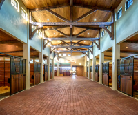 What Can You Do to Help Horses Cope with Box Stalls?