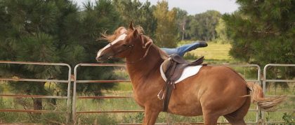 12 Most Common Bad Riding Habits