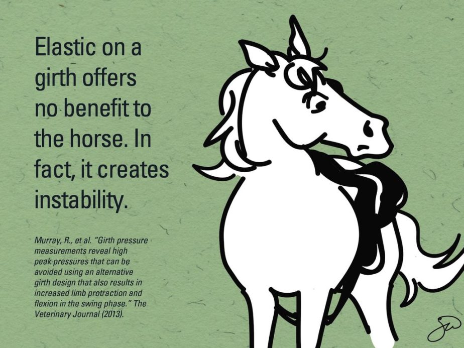 7 Facts About Girths Your Horse Wants You to Know