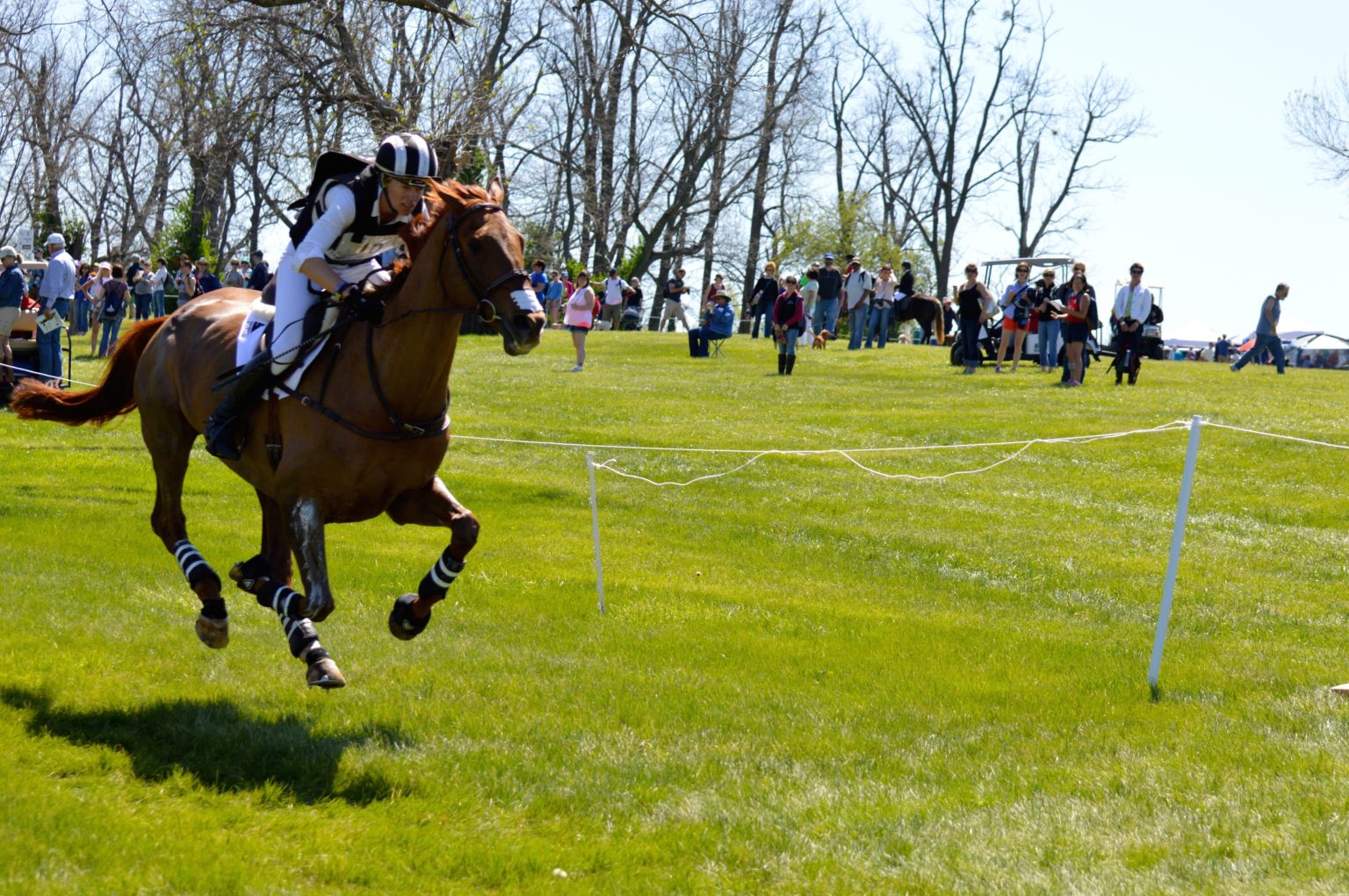 Here's the 2016 U.S. Olympic Eventing Team
