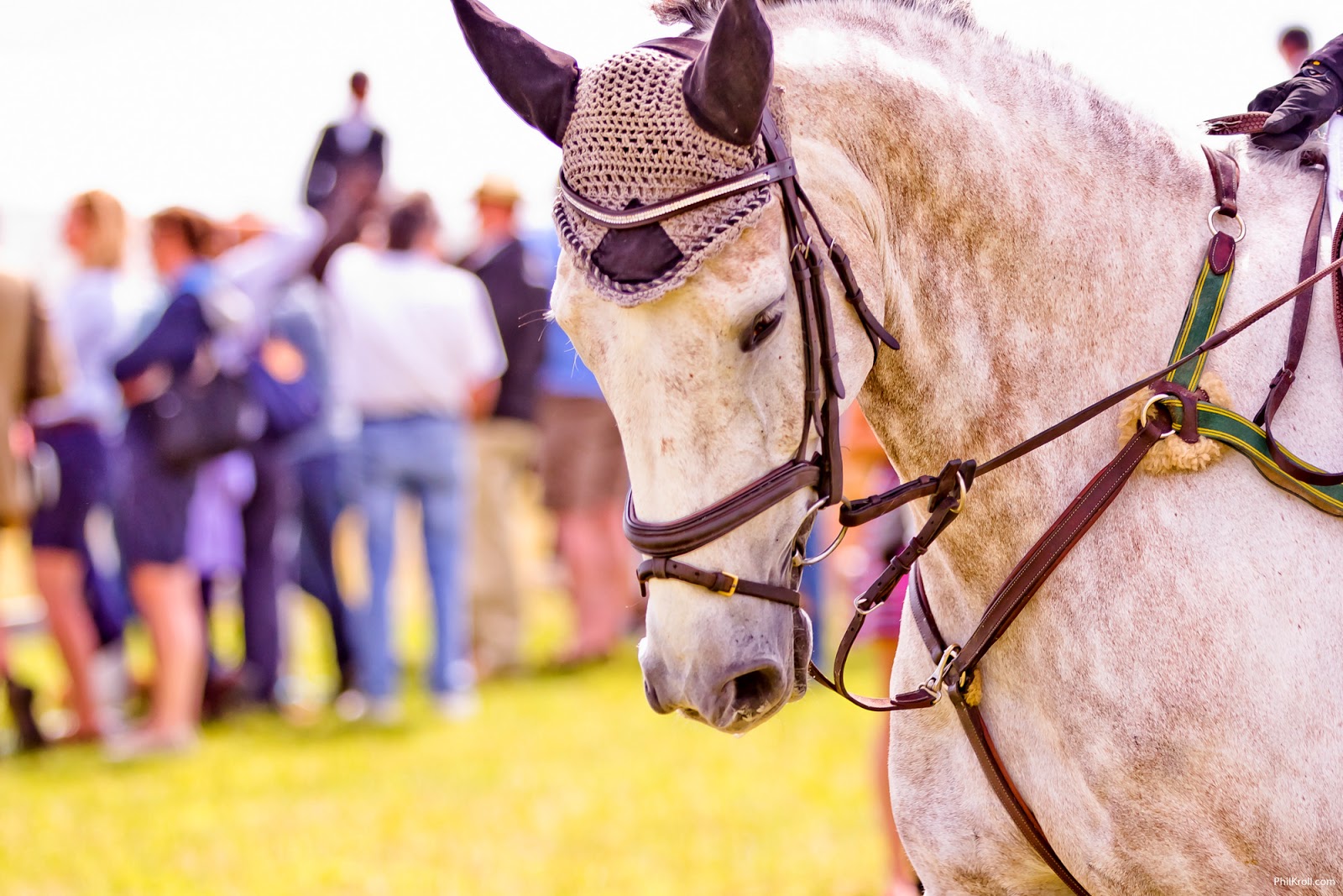 Hollywood Engineer Brings A Fresh Perspective To Equestrian Photography