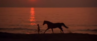 11 Things You Never Knew About the Making of “The Black Stallion”