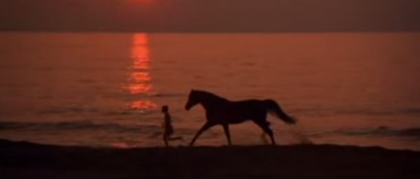11 Things You Never Knew About the Making of “The Black Stallion”
