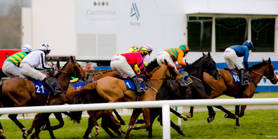 Hollywood Engineer Brings A Fresh Perspective To Equestrian Photography