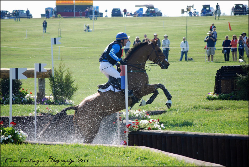 Q&A: How Can You Tell If a Horse Has Scope?