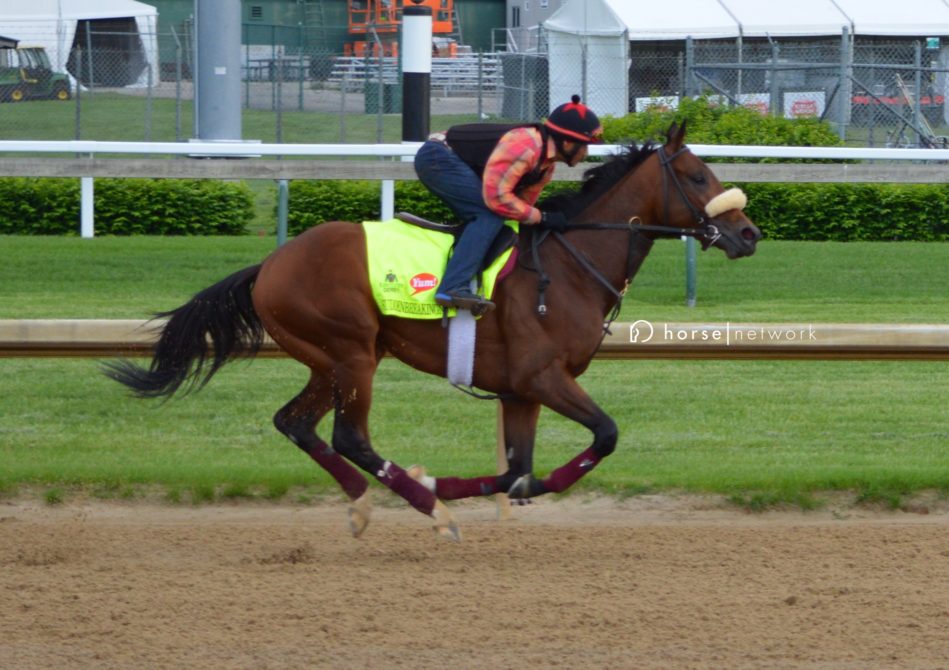 A Guide to Picking Your Kentucky Derby Horse