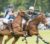 What You Need to Know About Polo, the ‘Gentleman’s Sport’