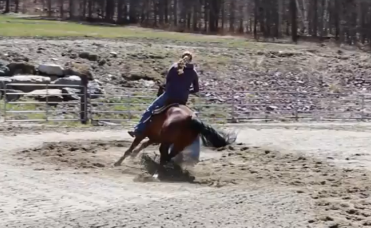 Going Nine-Oh: Meet Barrel Racer Megan White and "Walter"