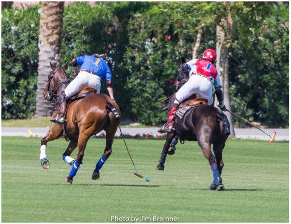 What Polo Shirt Numbers Mean (It's Not What You Think)