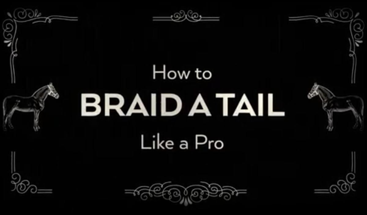 How to Braid a Tail Like a Pro
