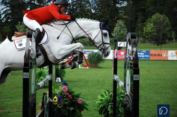 What Defines a “Fashionable Rider” in the Show Jumping?