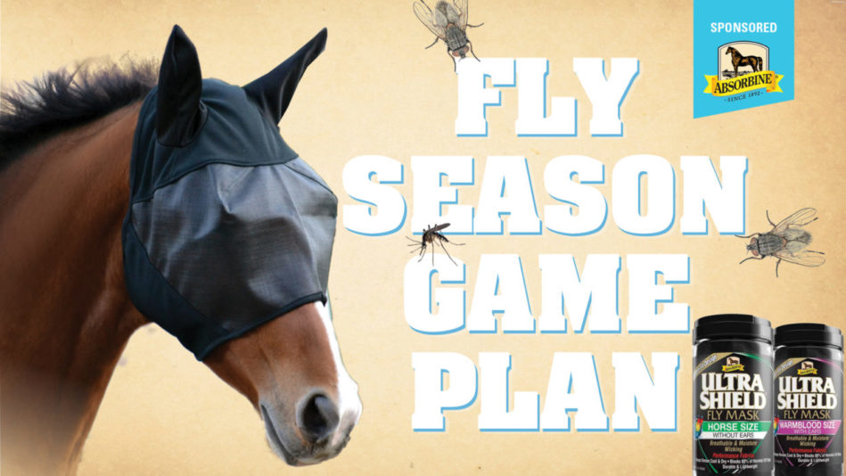 Your Fly Season Game Plan Is Here!