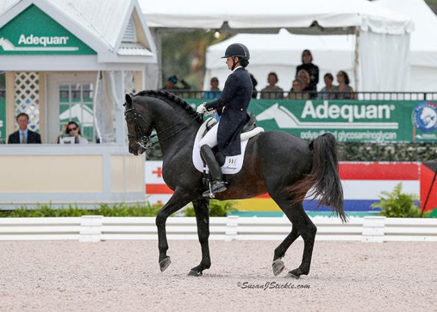 Meet the USA's 2016 Olympic Dressage Team