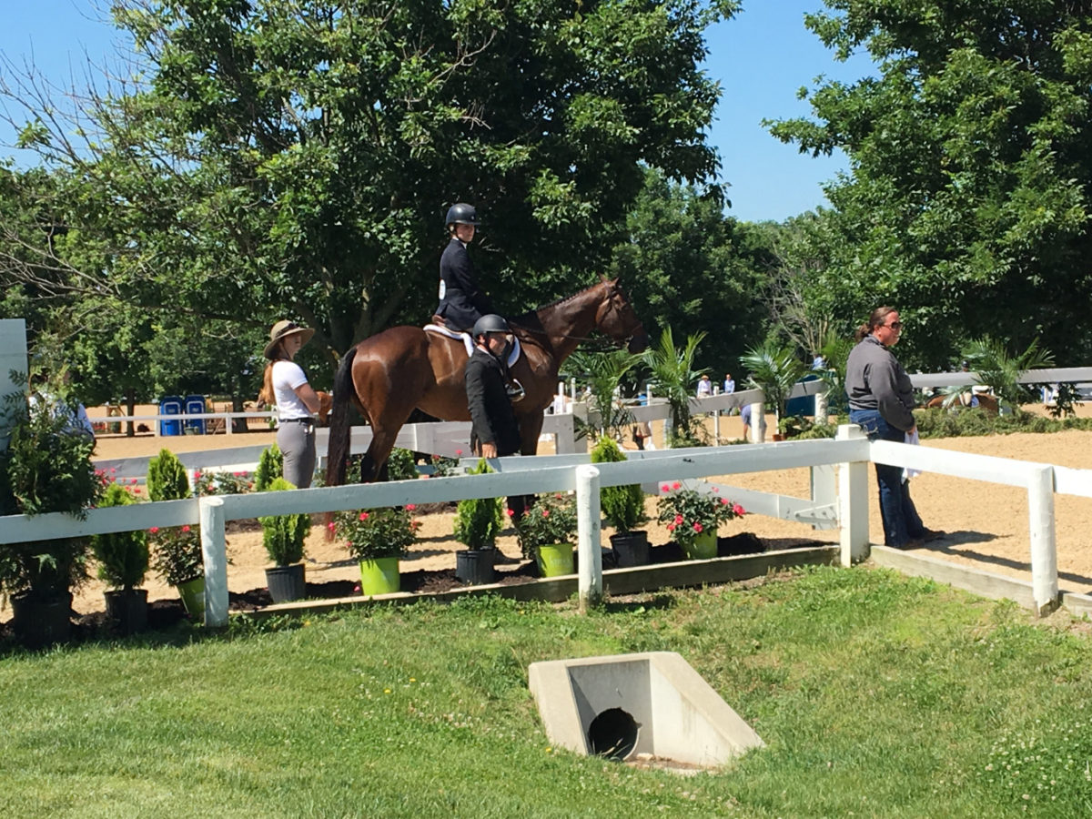 An Eventer's Adventures in Hunterland