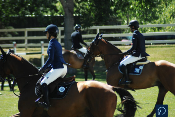 5 Common Mistakes that Could Be Holding You Back in the Show Ring (and ...