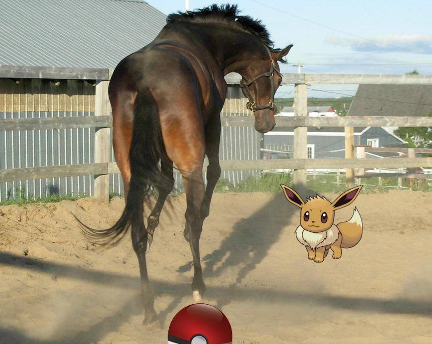 When Pokémon Go Goes Riding