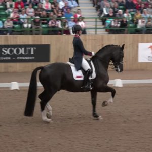 Valegro Returns to Competition, Wins the Grand Prix