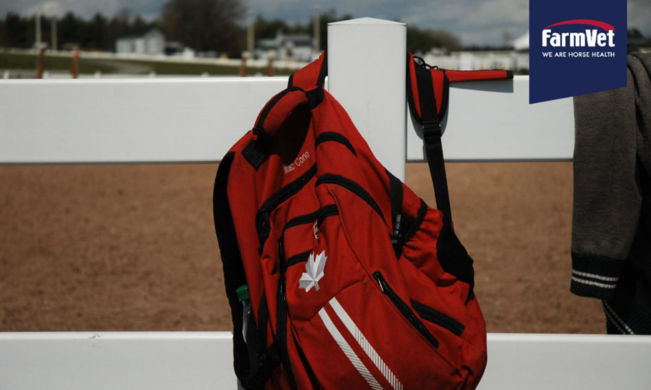 What's In Your Ring Bag?