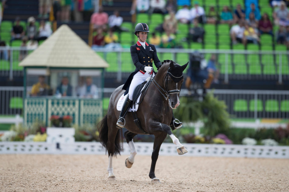 Five Ways Valegro Impacted Horse Sport for the Better