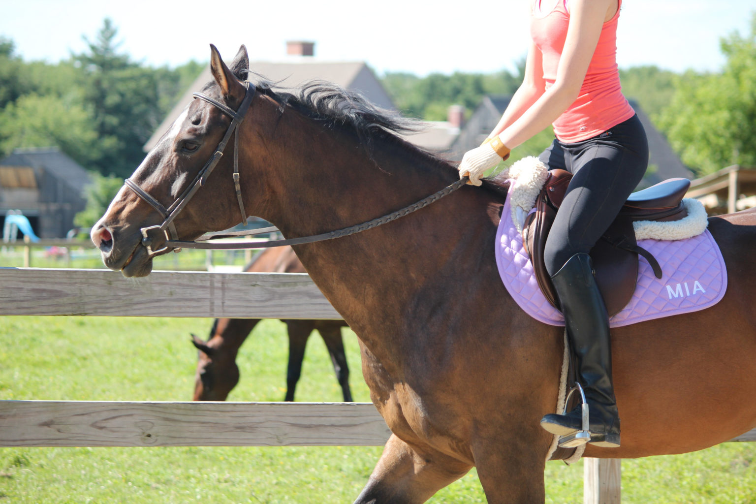 You're Probably Shortening Your Reins Wrong