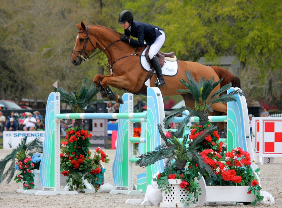 What's the "Right" Amount of Time to Warm-Up Before a Jumping Competition?