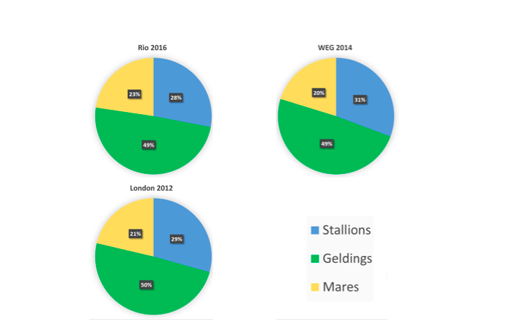 What Can Numbers Teach Us About Elite Show Jumping? The Answer May ...