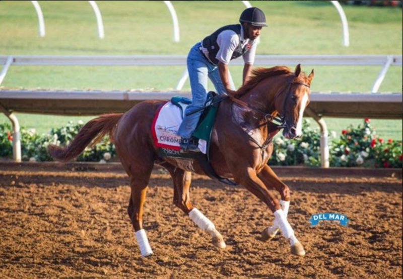 Top 12 Raciest Racehorses in North America