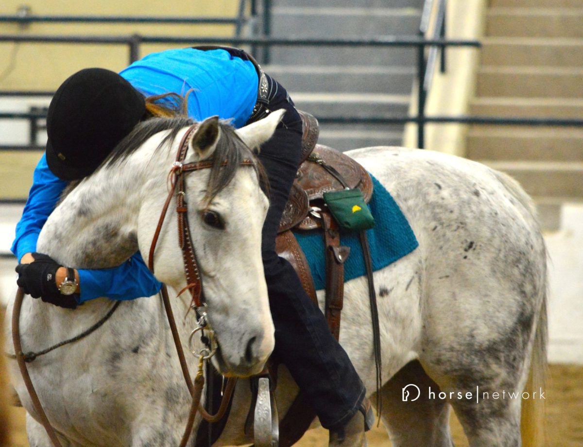 10 Reasons Why OTTBs are the Best