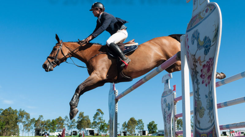 It's a Show Jumping World After All