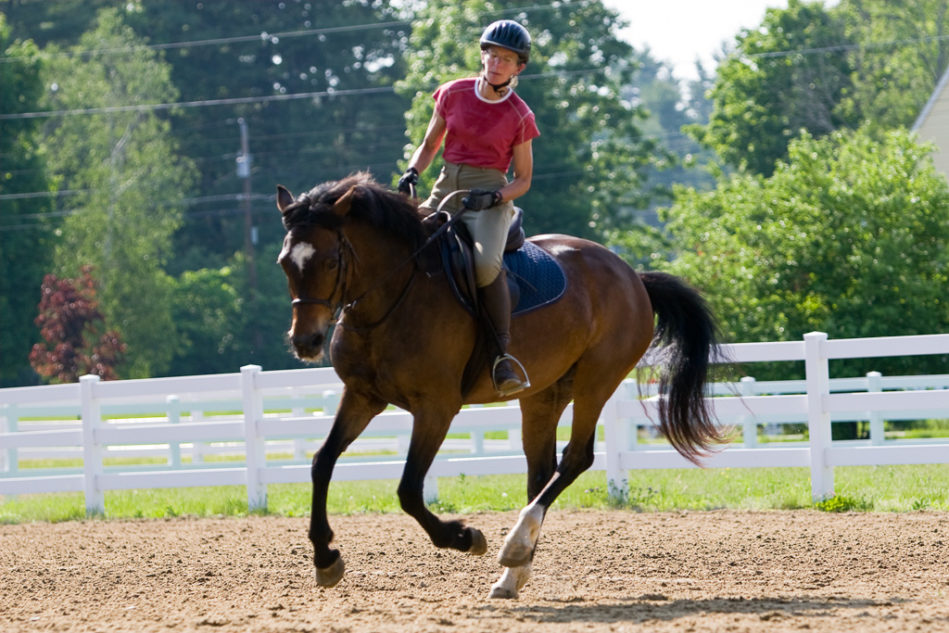 The Jig is Up: 7 Ways to Change Prancy Habits