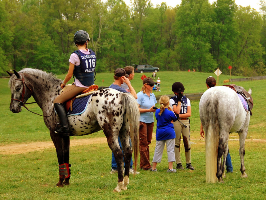 The Beauty of Pony Club's Biggest Flaw