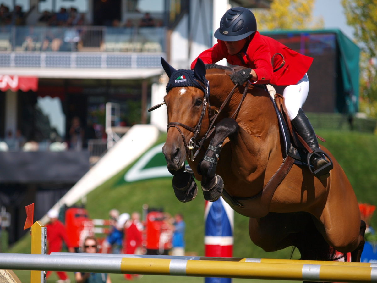 It's a Show Jumping World After All