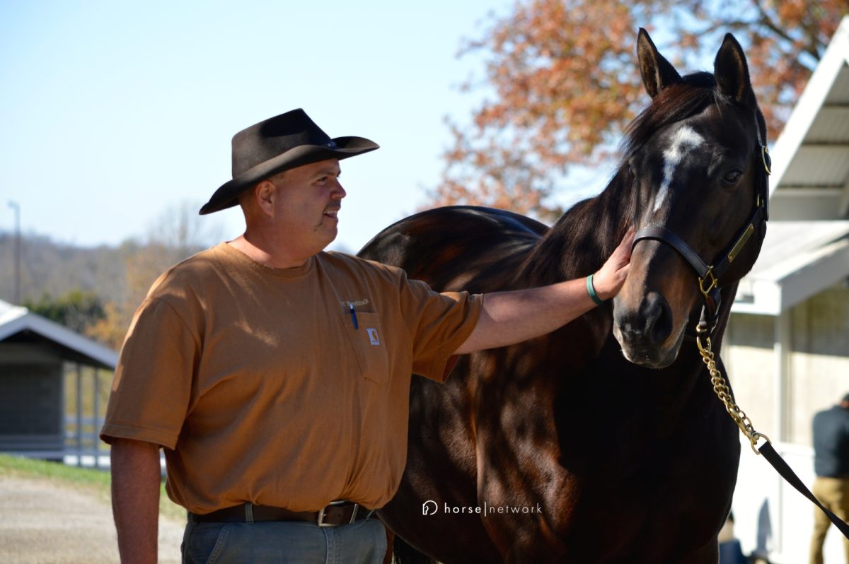 Q&A: Looking Between the Ears With Kerry Thomas