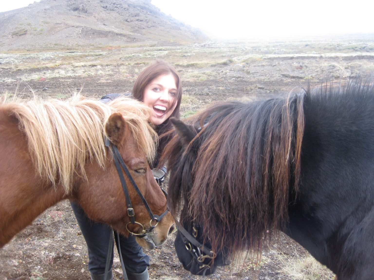 Q&A: Artist Whitney Anderson Is Bringing Horses to High Fashion