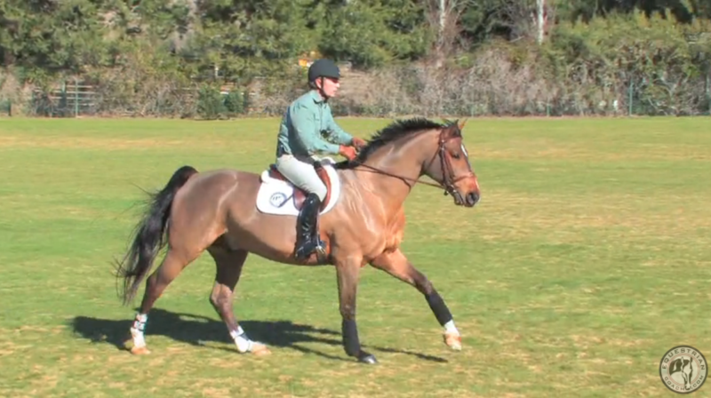 Focus on Hip Angle to Perfect the Half Seat with Bernie Traurig