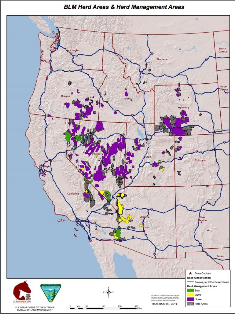 Mustang Management: the Source