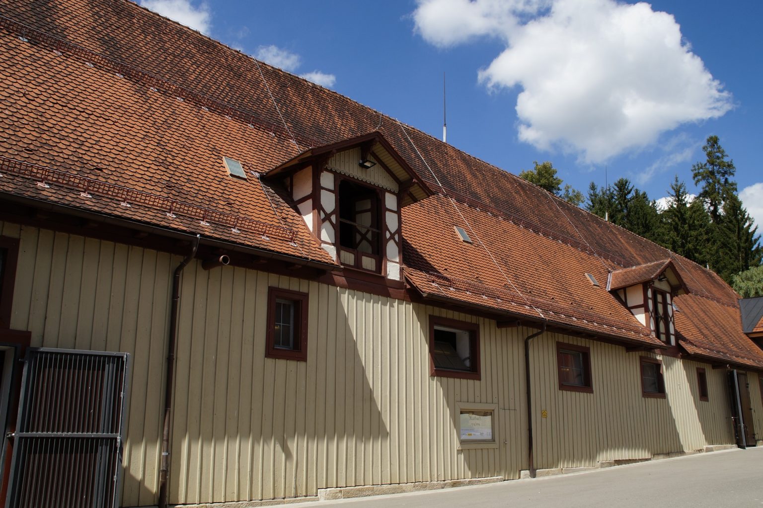 The Reality of Being in a College Equestrian Program