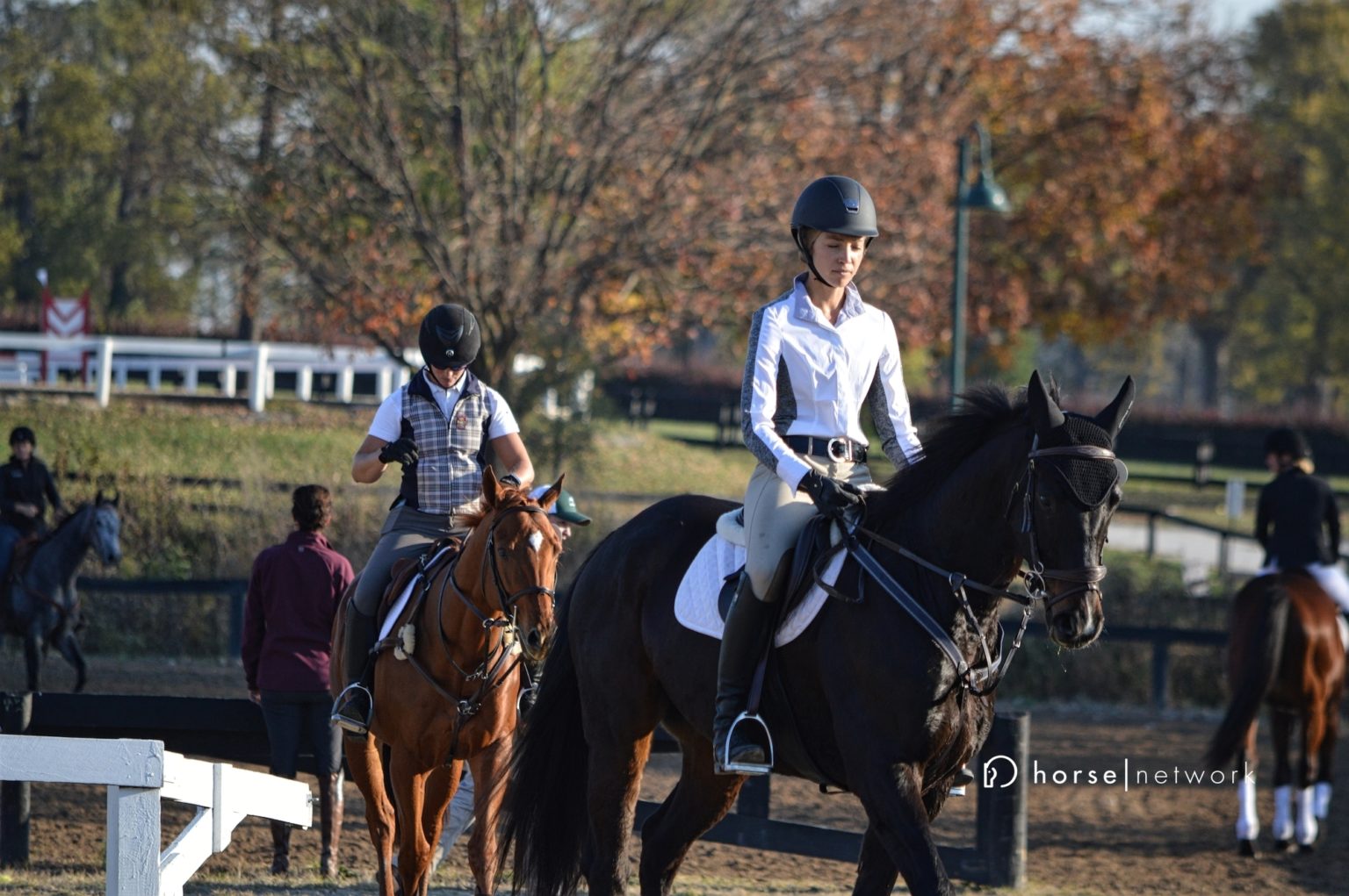 The OTTB "Letdown"
