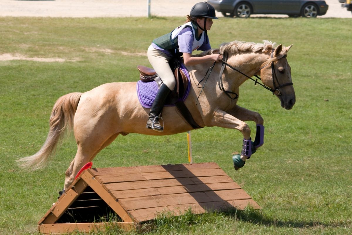 The Future of Equestrian Sport