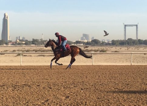 The "Wizard" of Dubai