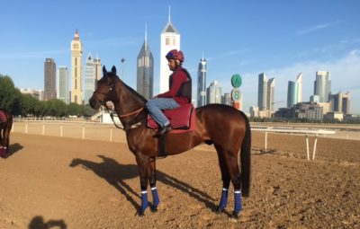 The "Wizard" of Dubai